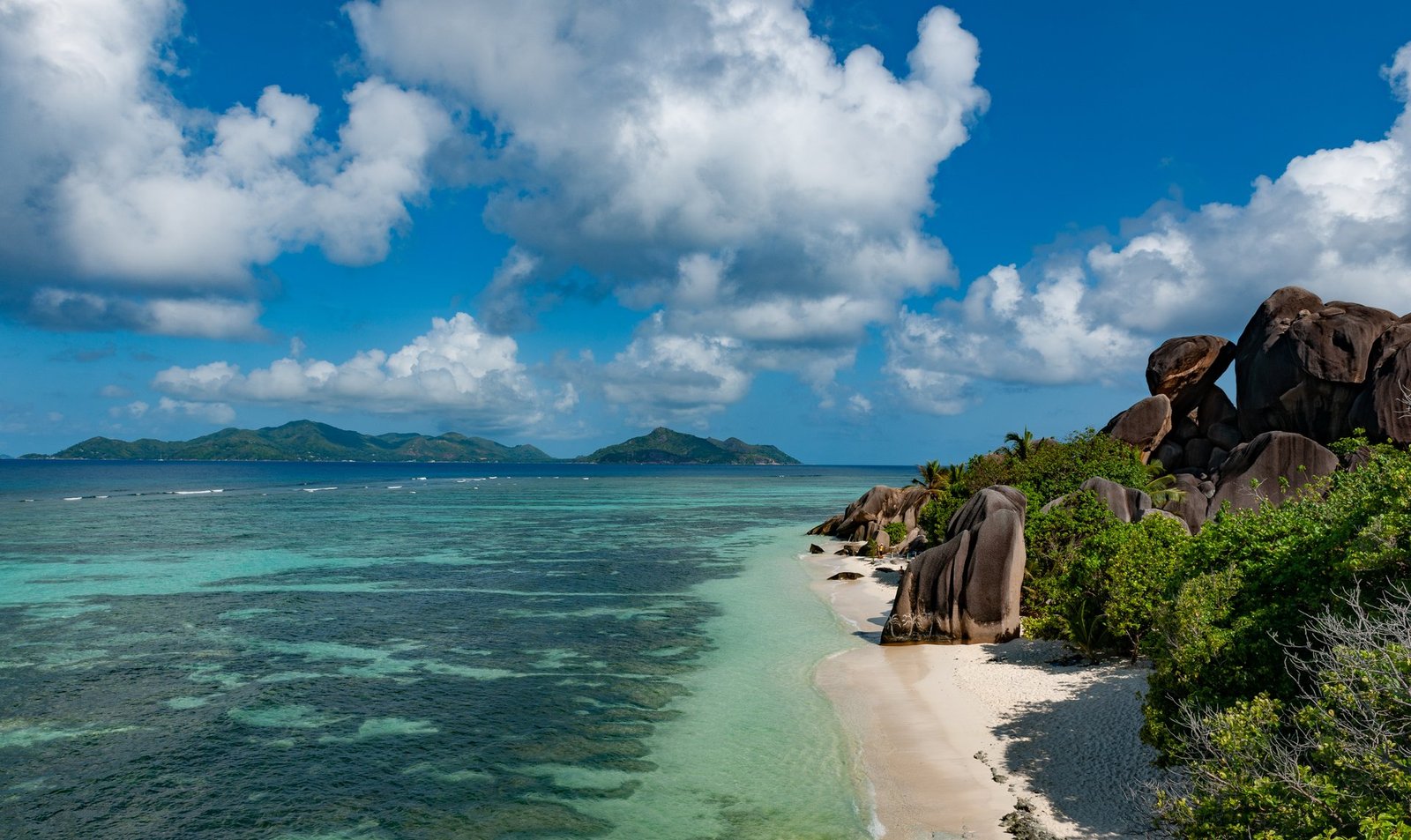 Seychelles leaving an ecological print this Environment Day with Global ...