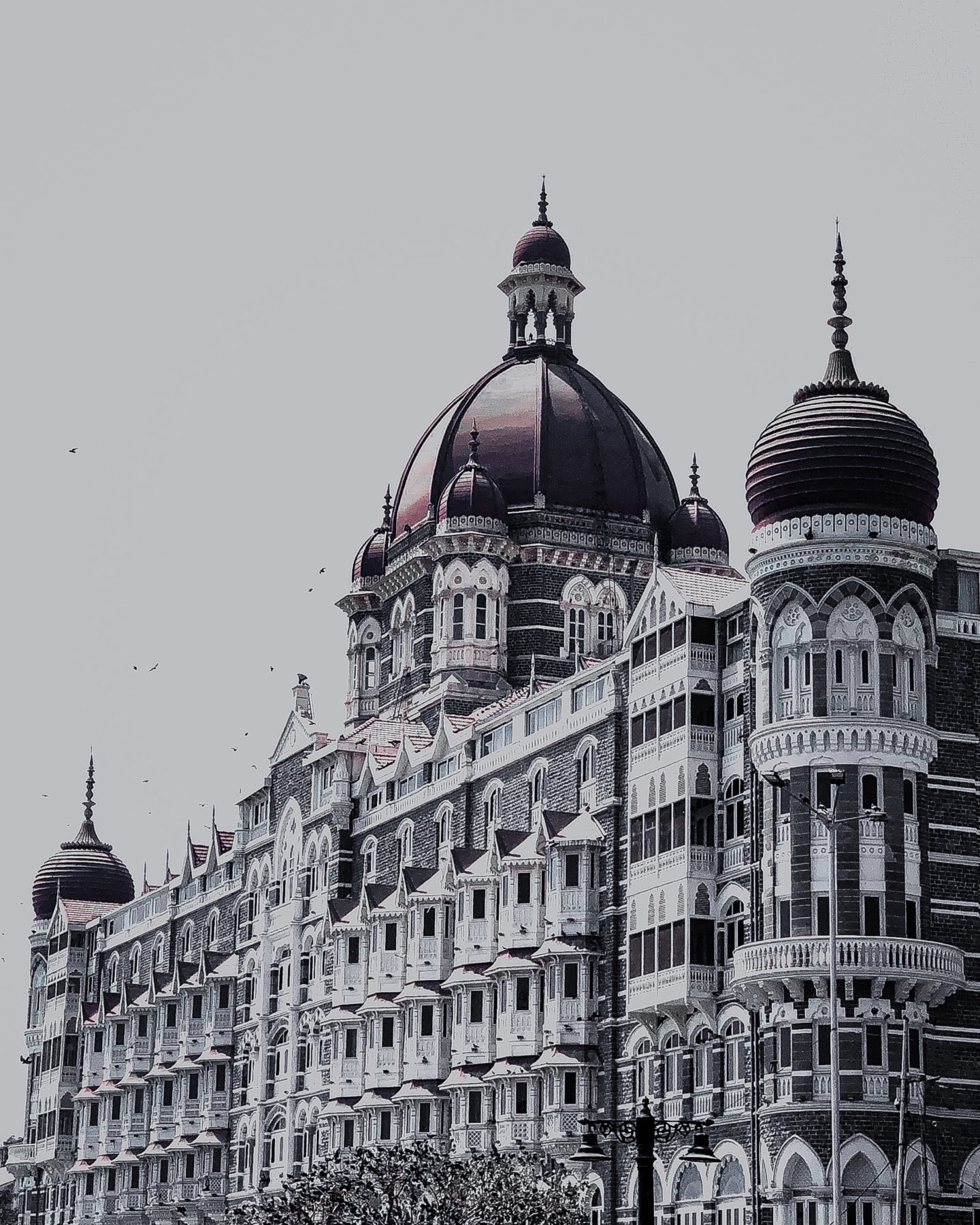 Taj rated as strongest hotel brand in the world - Travel Turtle