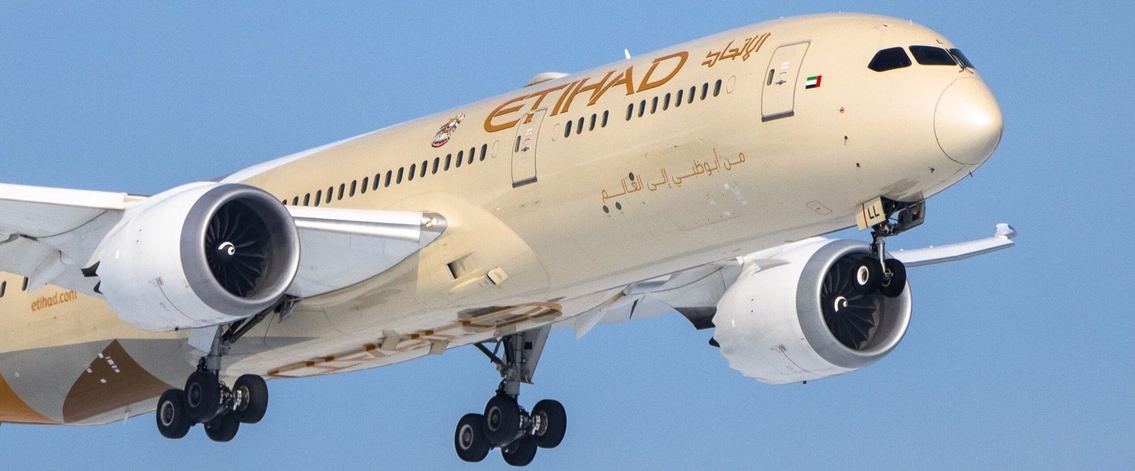 Etihad will expand to two new destinations in India - Travel Turtle