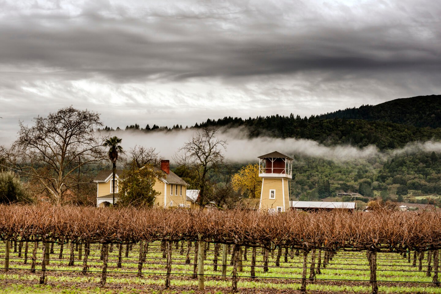 Beyond the grapes: California’s wine regions and a tapestry of flavors ...