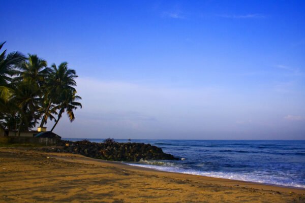 Five Maharashtra beaches awarded Blue Flag certification - Travel Turtle
