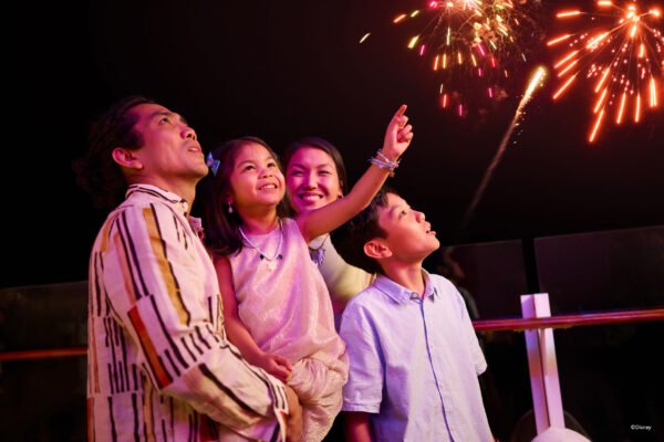 Disney Cruise Line introduces The Lion King fireworks experience ...